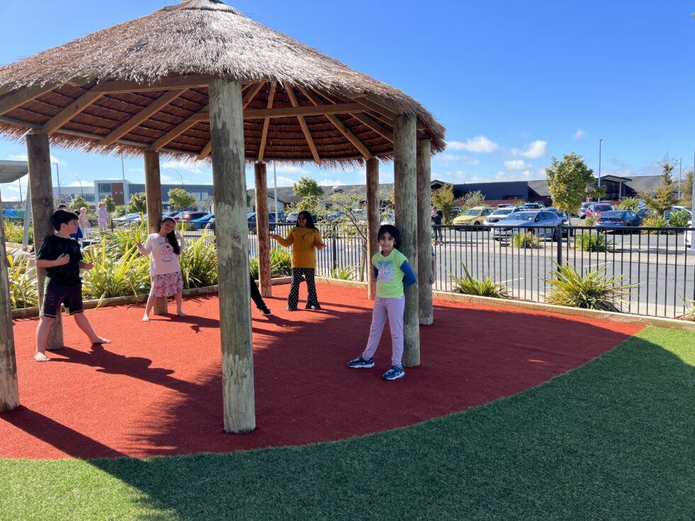 Te Ao Marama School Playground Design – Playscape